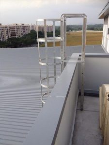 Safety Cage Ladder Product & System | Safety Cage Ladder