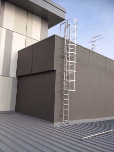 Safety Cage Ladder Product & System | Safety Cage Ladder